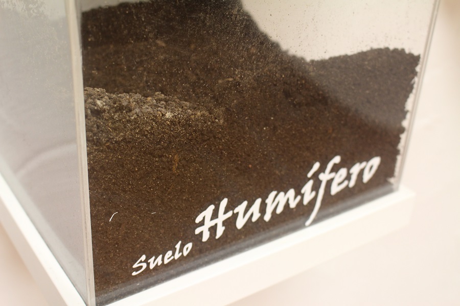 Los suelos en La Mancha - Vinos de La Mancha