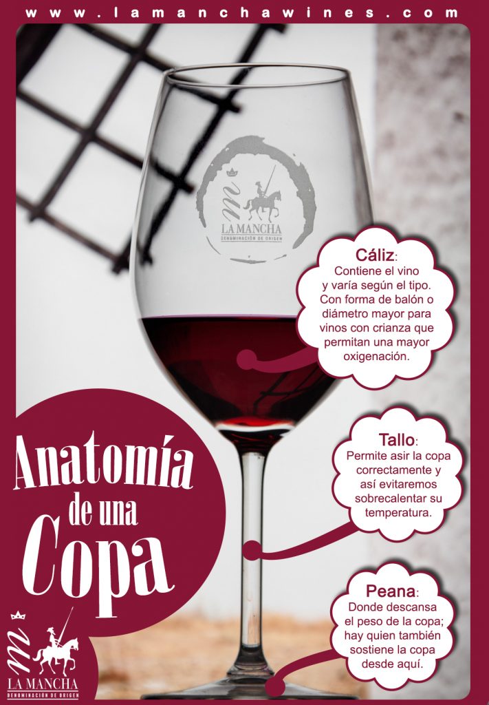 Anatomía de una copa - Vinos de La Mancha
