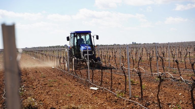 Tillage of the vineyard soil - La Mancha Wines - DO La Mancha